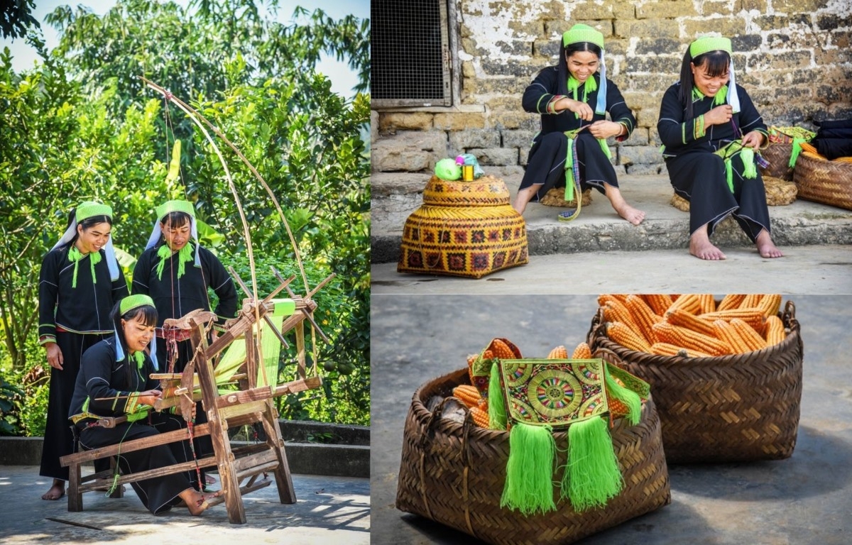 ការអភិរក្សពណ៌ធ្លះនៅតំបន់ភ្នំថ្មនៃខេត្ត ឡាងសឺន | VOV5.VN