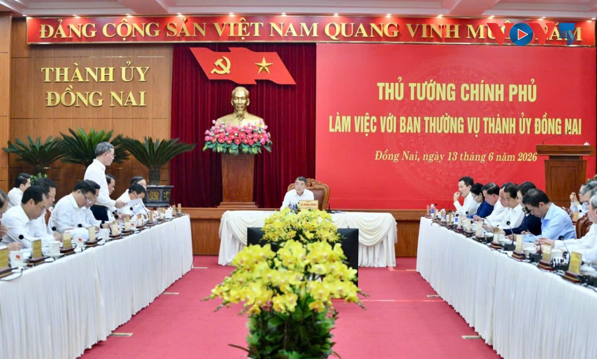 Piden a Dong Nai maximizar el potencial del Aeropuerto de Long Thanh ...