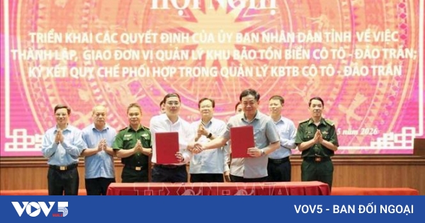 Co To establishes “green shield” to protect marine biodiversity | VOV5.VN