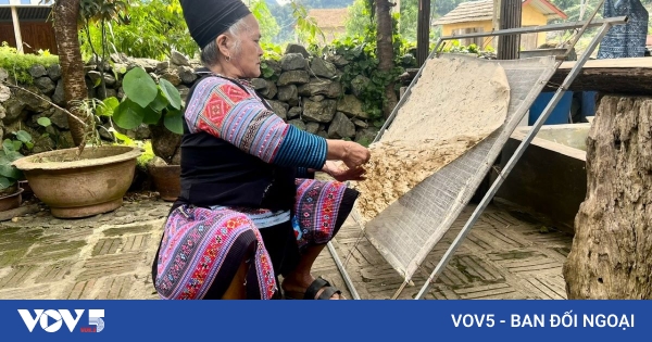 Los ancianos preservan la tradición, los jóvenes iluminan el futuro: el ...