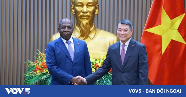 Le Vietnam et l’Angola scellent leur volonté de renforcer une ...