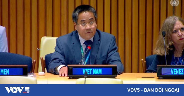 Vietnam backs UNSC reform through intergovernmental negotiations | VOV5.VN