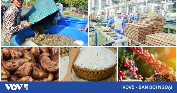 Vietnam promotes FTA negotiations to diversify export markets | VOV5.VN