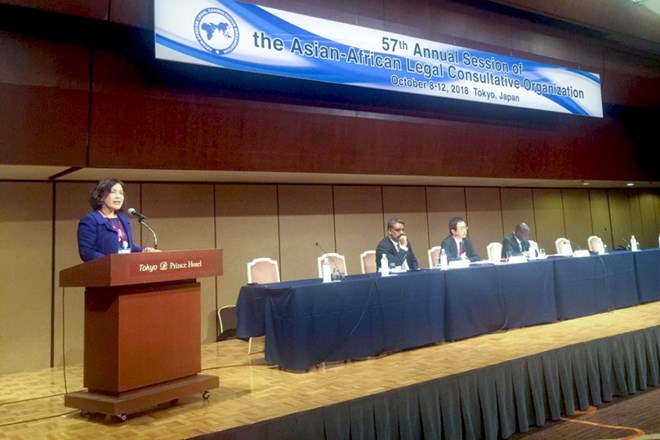 Vietnam contributes to discussion of int’l law development | VOV5.VN